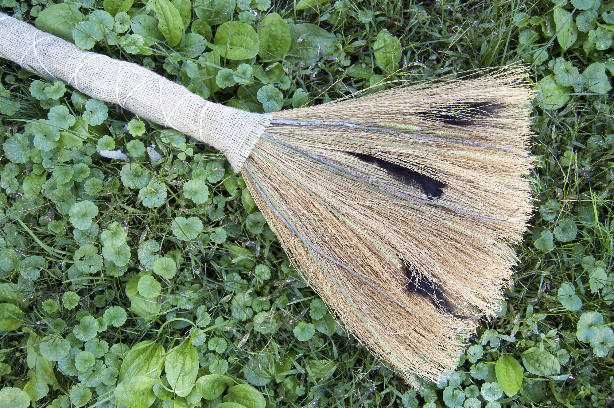 DIY Sanderson Sisters-Inspired Witch's Broom - Goodwill Akron