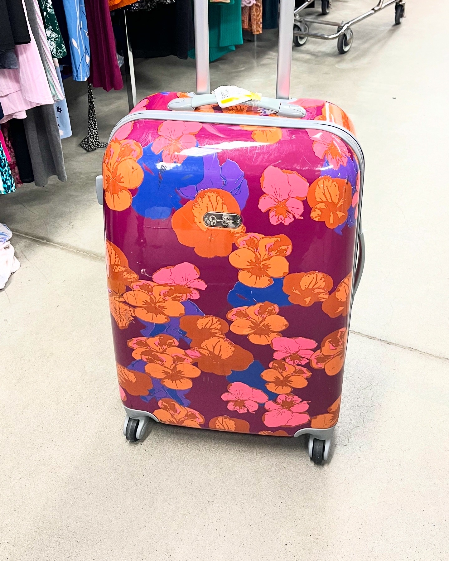 Spring Break on a Budget: Travel Essentials You Can Thrift at Goodwill ...